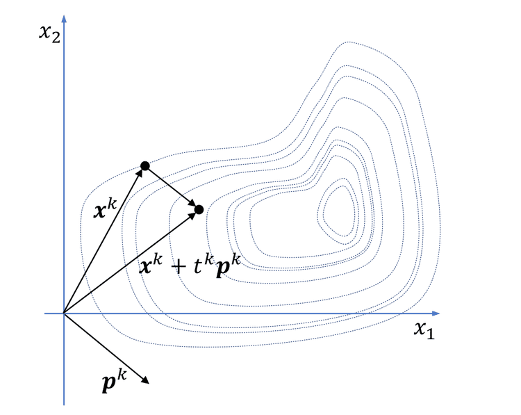 Line Search Methods in Unconstrained Optimization | Federico Sarrocco