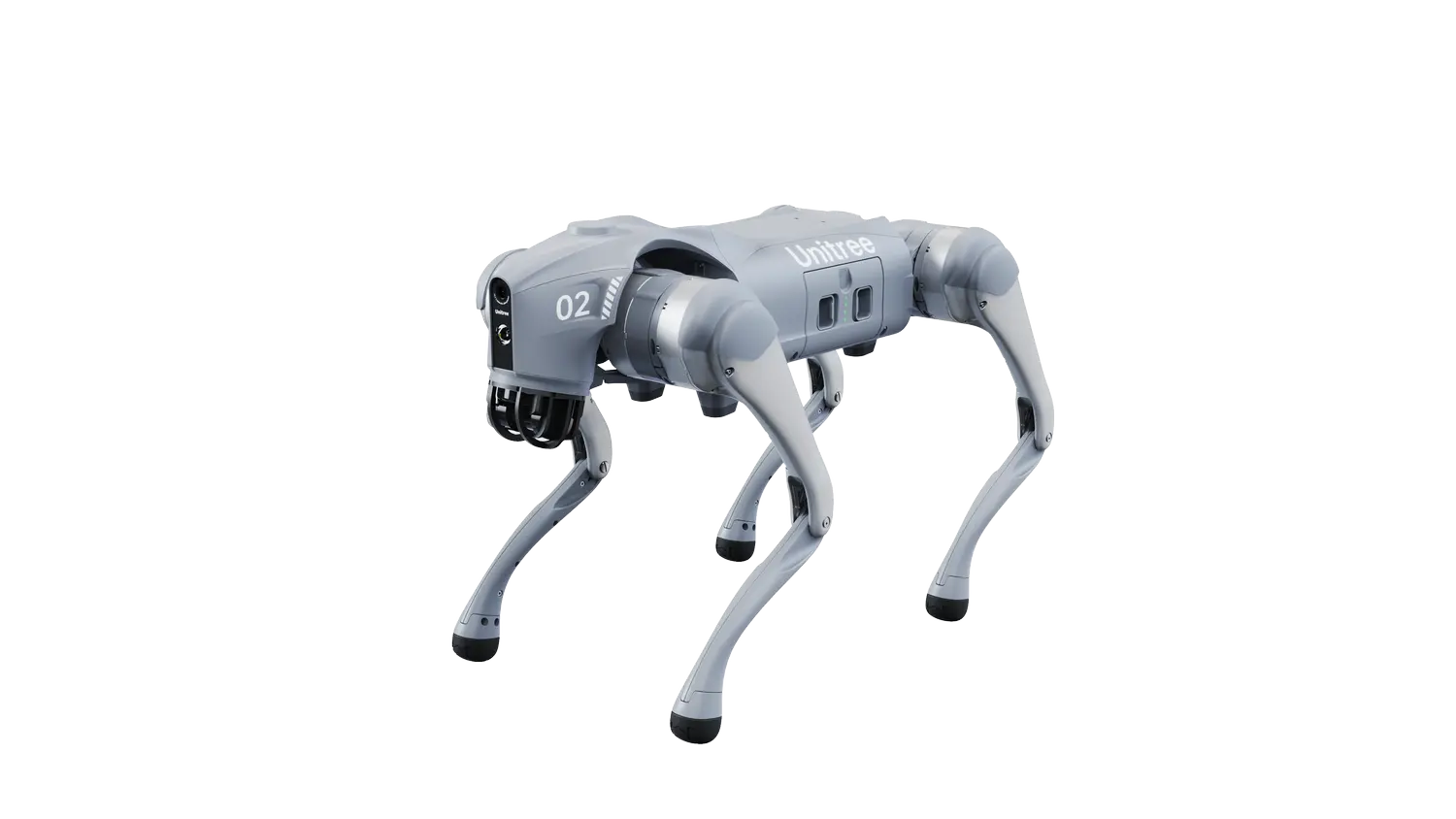 Making quadrupeds Learning to walk: Step-by-Step Guide | Federico Sarrocco